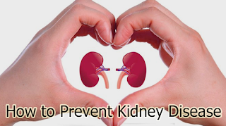 How to Prevent Kidney Disease