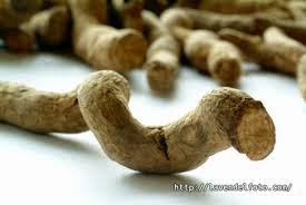 RAUWOLFIAE SERPENTINAE RADIX | FARMAKOGNOSI (RADIX)