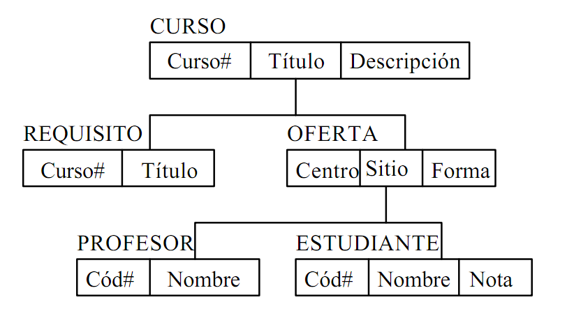 BASE DE DATOS: BASE DE DATOS JERÁRQUICAS
