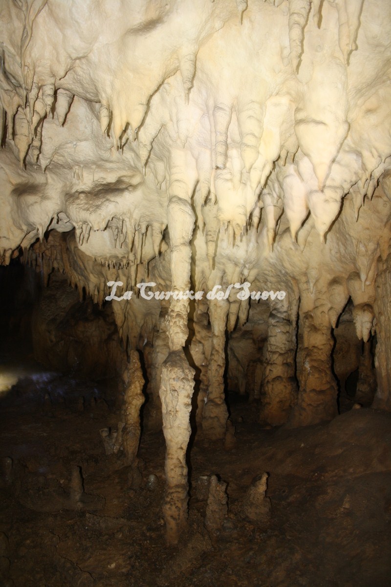 El Blog de La Curuxa del Sueve: CUEVA DE PANDO