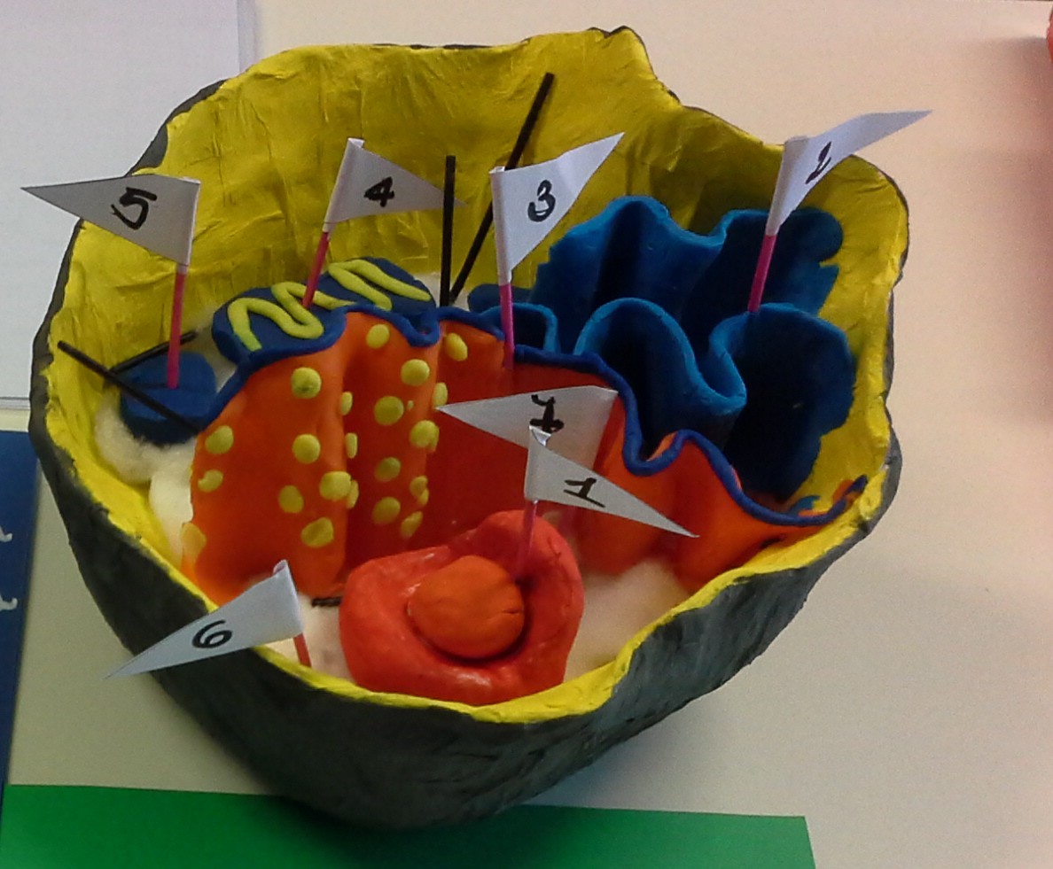 Science For Passion: La cellula tridimensionale e il DNA creato con ...