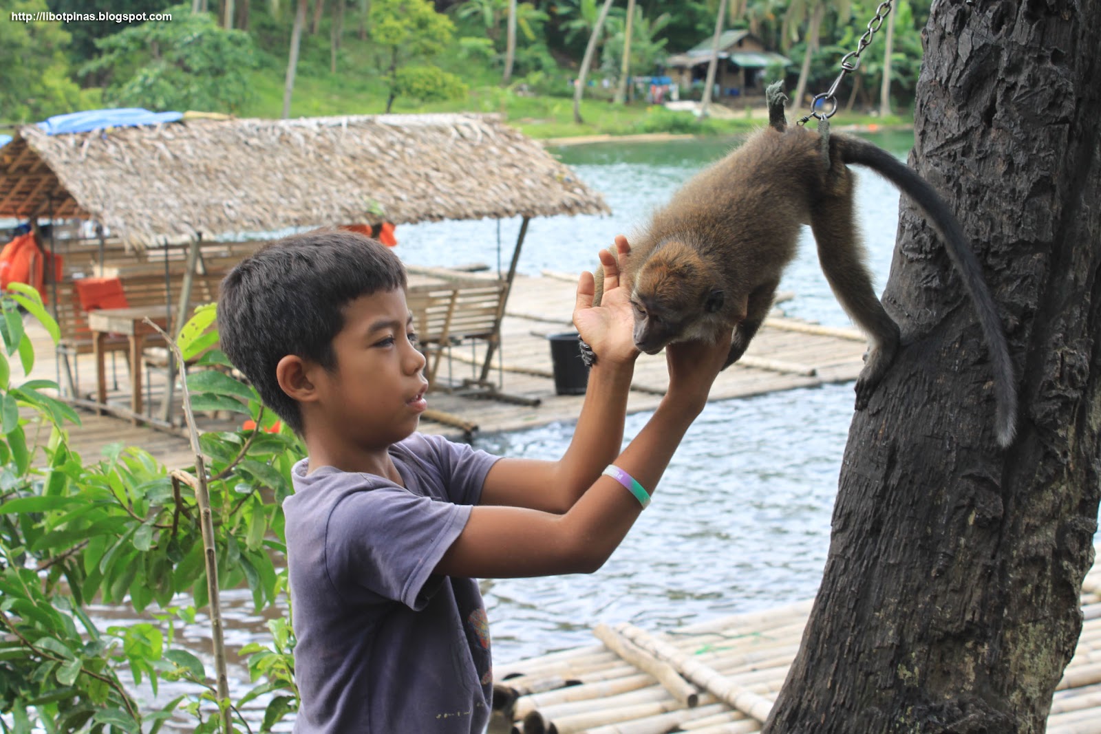 Libot Pinas: Lake Pandin of San Pablo Laguna