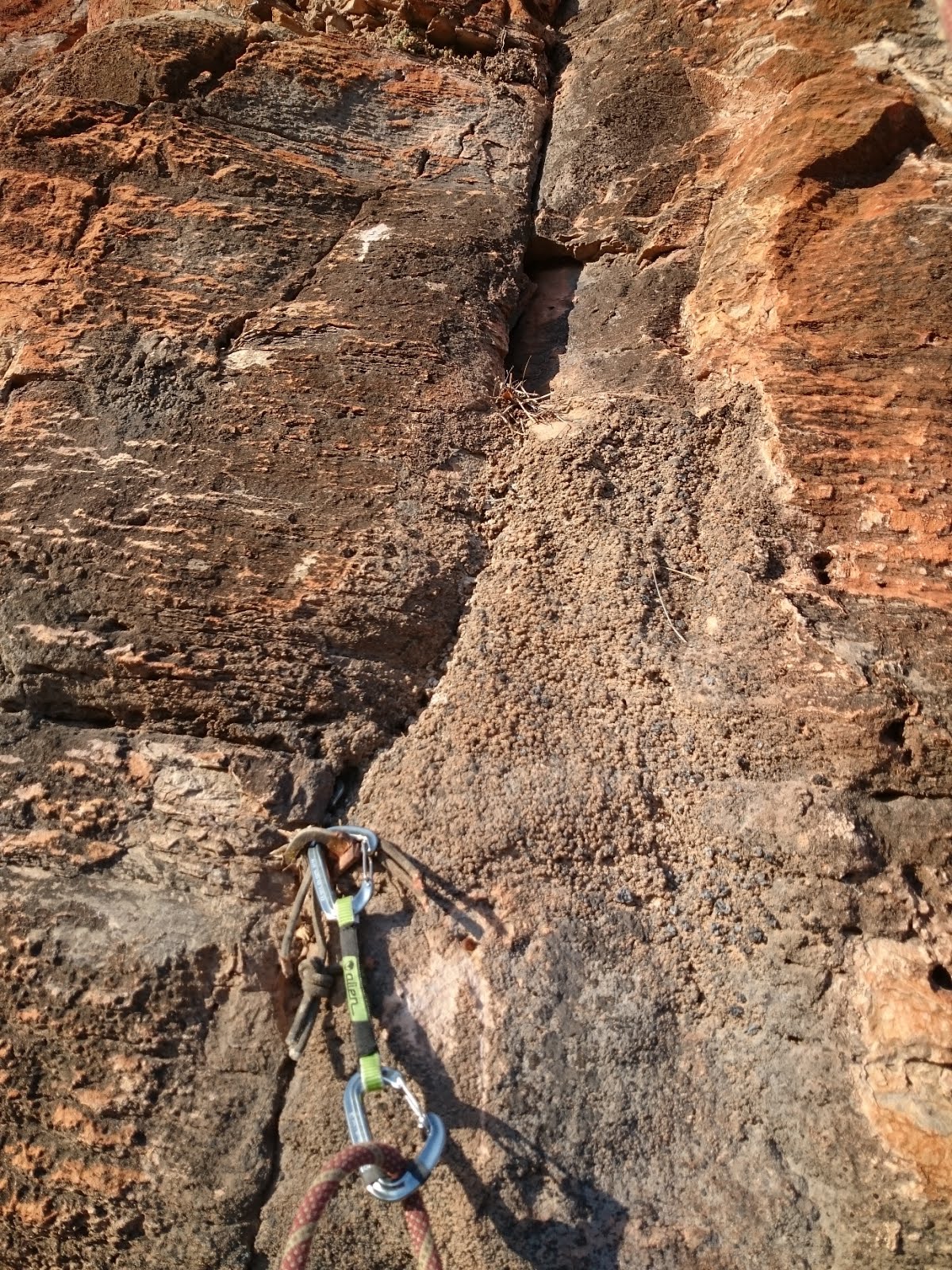 Pared Frontal de Orihuela: abril 2016