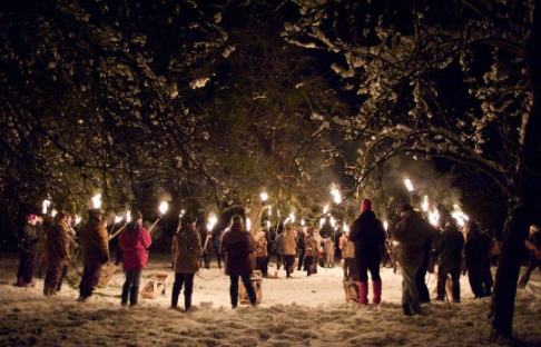 Writing the Past: Wassail!