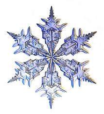 Heraldry of Life: ART with REAL SNOWFLAKES