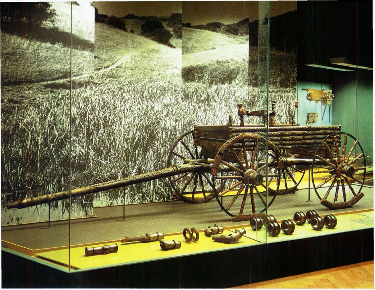 Thyra: The Scandinavian Woman in Viking Age