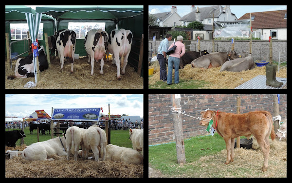 The Glebe Blog: The Stranraer Show 2013