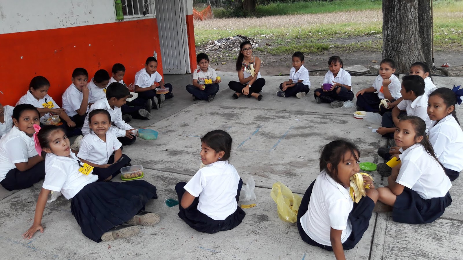 El rol del docente en la Escuela Primaria Multigrado: Primeras experiencias