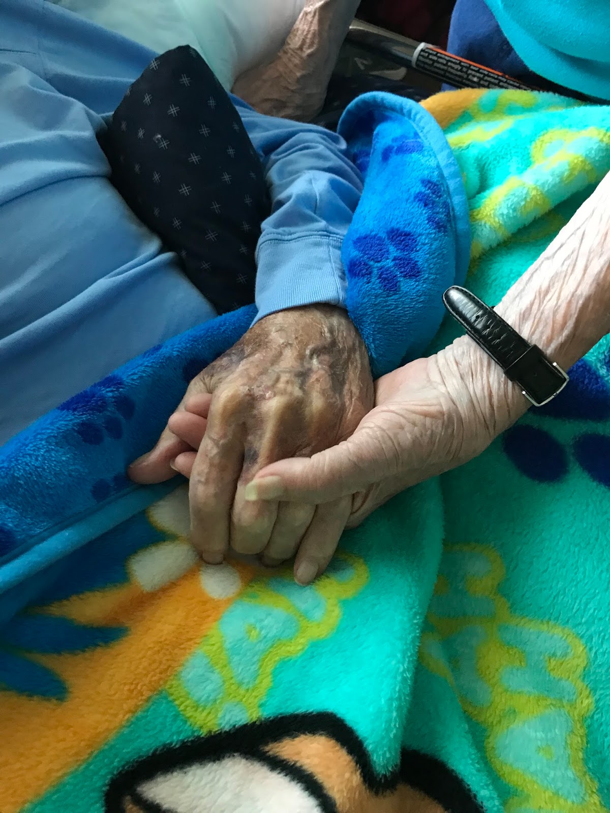 Nancy Siegel Musings