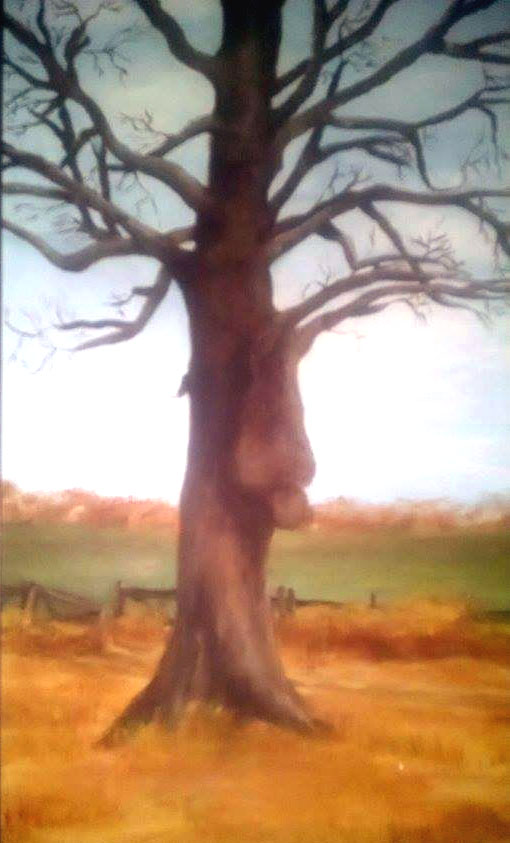 IMAGES OF OUR PAST - THE HANGING TREE - DUBLIN, GEORGIA - AN UNUSUAL ...