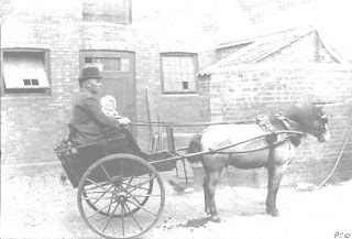 News from the stores: Remembrance Day 11-11-11-11: Sergeant Henry ...