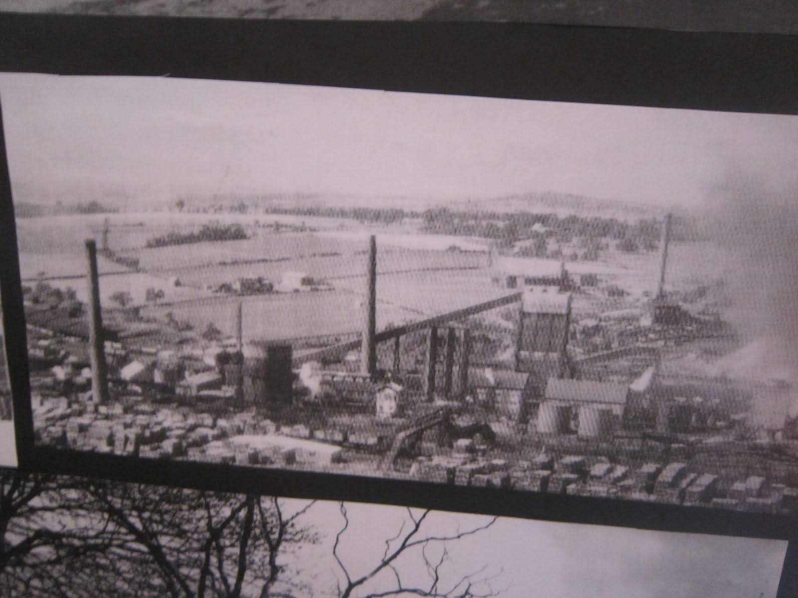 4 kids, 2 guinea pigs one happy family: Milling, mining and laikin ...