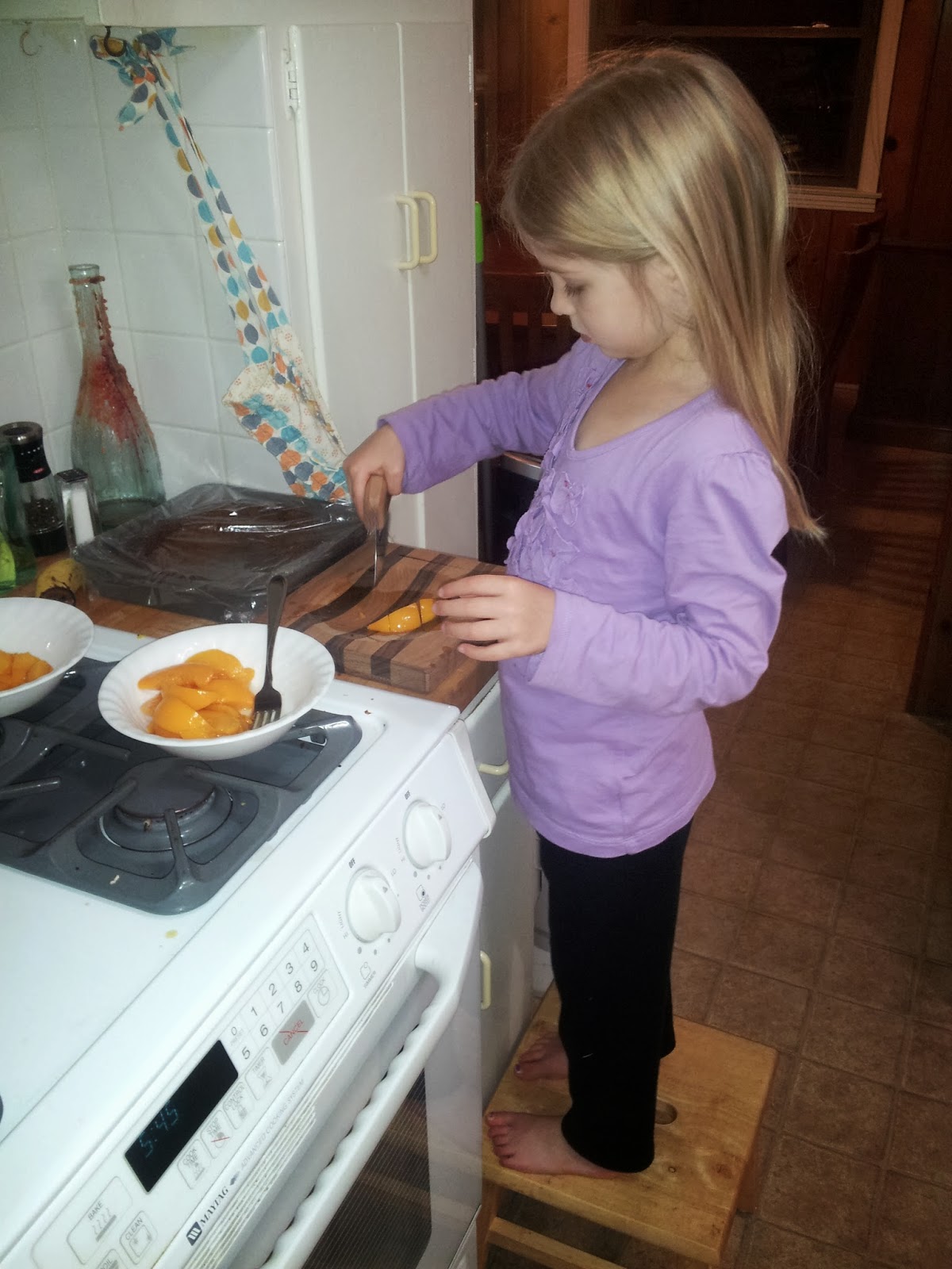 Educating the Entourage: January 2014