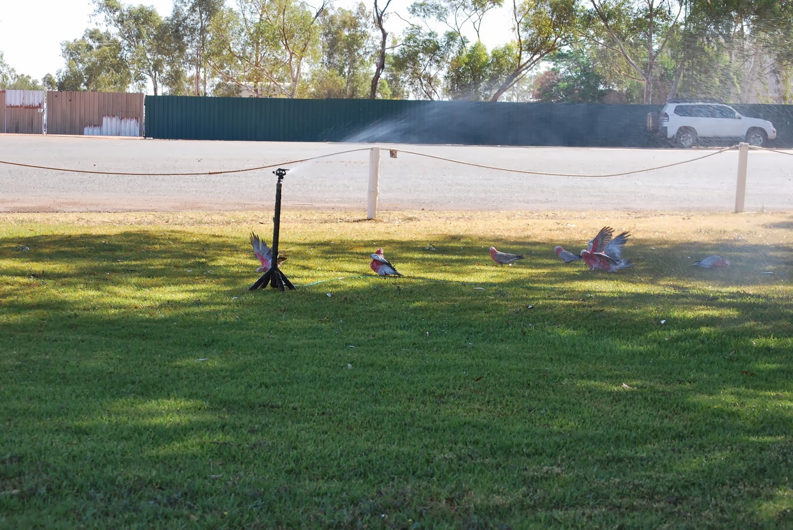 2013 Trip Central Australia