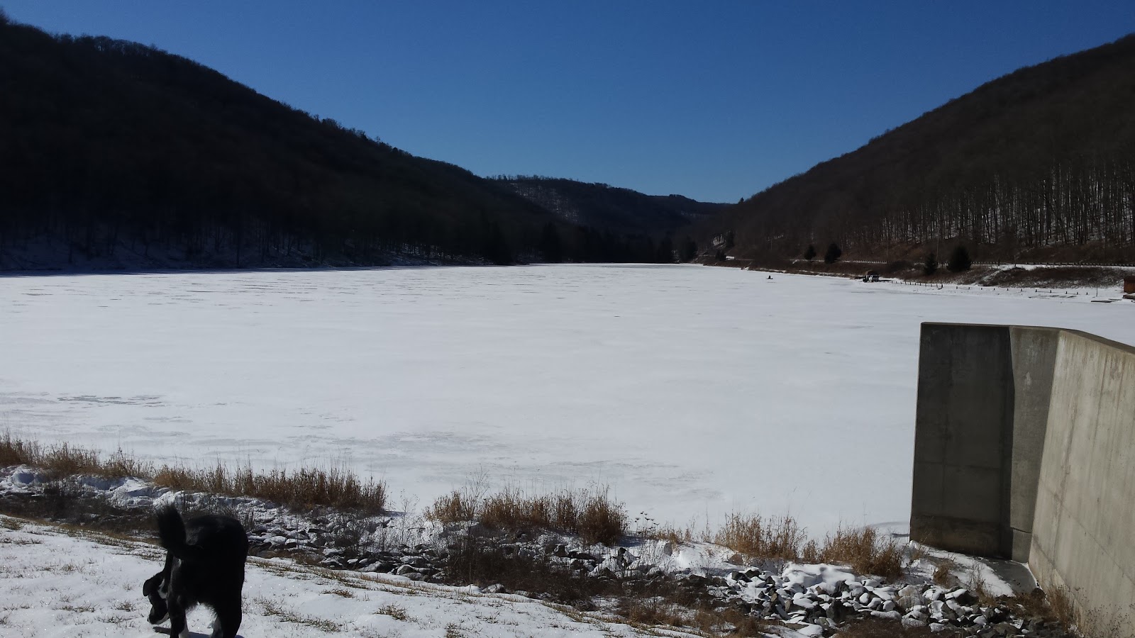 Cook'n by the Creek: The Dam