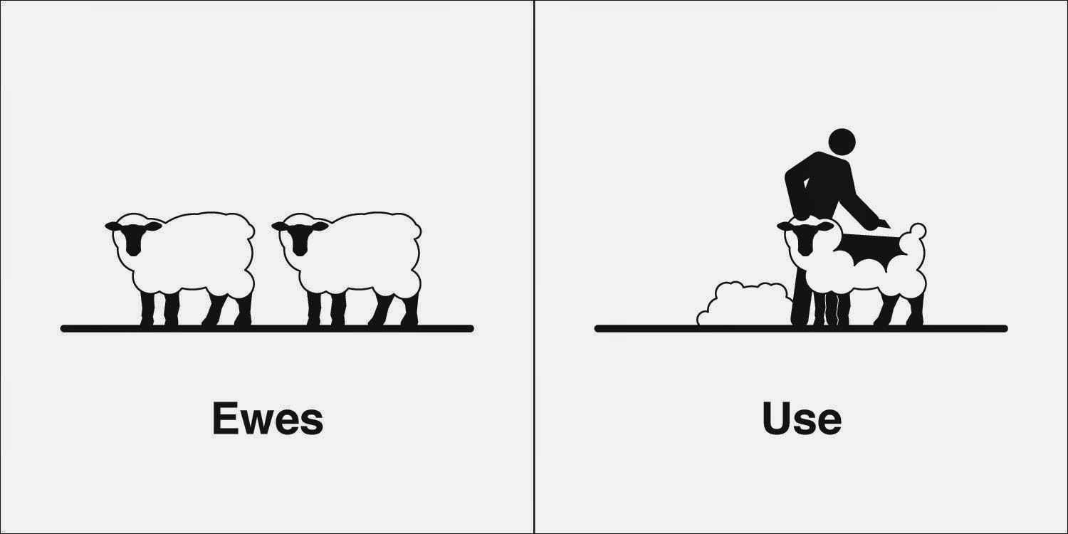 Homophones, Weakly: Ewes & Use