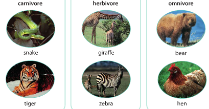 PrimaryBlume 2: Lesson 3 " ANIMALS"