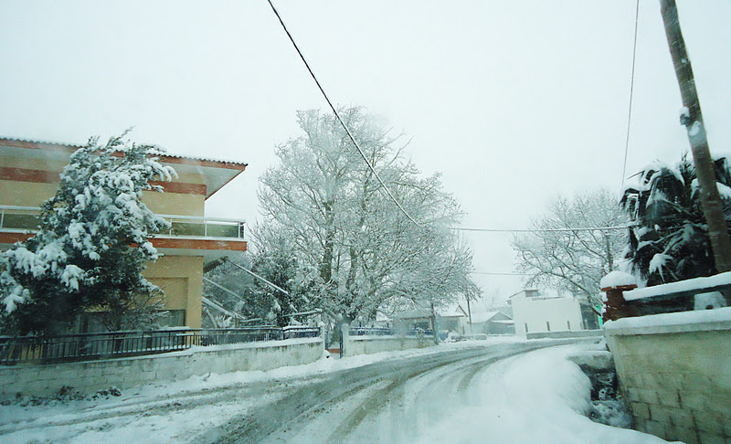 ΠΡΟΜΑΧΟΙ-ΣΩΣΑΝΔΡΑ-ΑΡΙΔΑΙΑ...ΟΔΟΙΠΟΡΙΚΟ ΤΩΝ "Π.Ν." ΣΤΟ ΧΙΟΝΙΣΜΕΝΟ ΤΟΠΙΟ ...