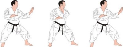 El Camino del Jiu Jitsu: Shuto uke