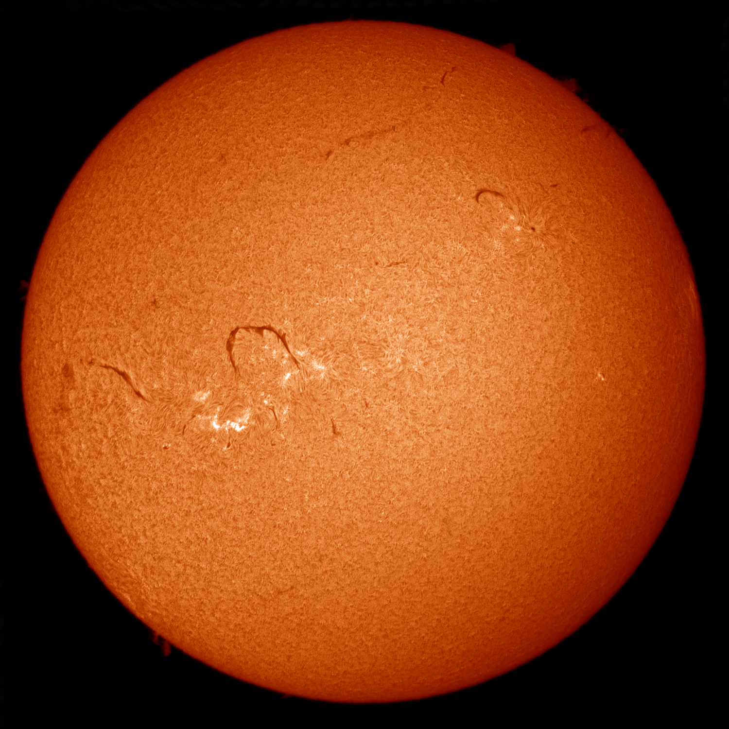 Brierley Hill Solar: 2016