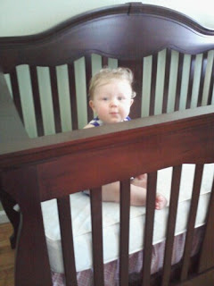 7 month of Life- Lexie Lou is through the first half of her first year ...