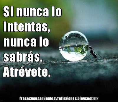 Frases Pensamientos Y Reflexiones: Frases De Intento
