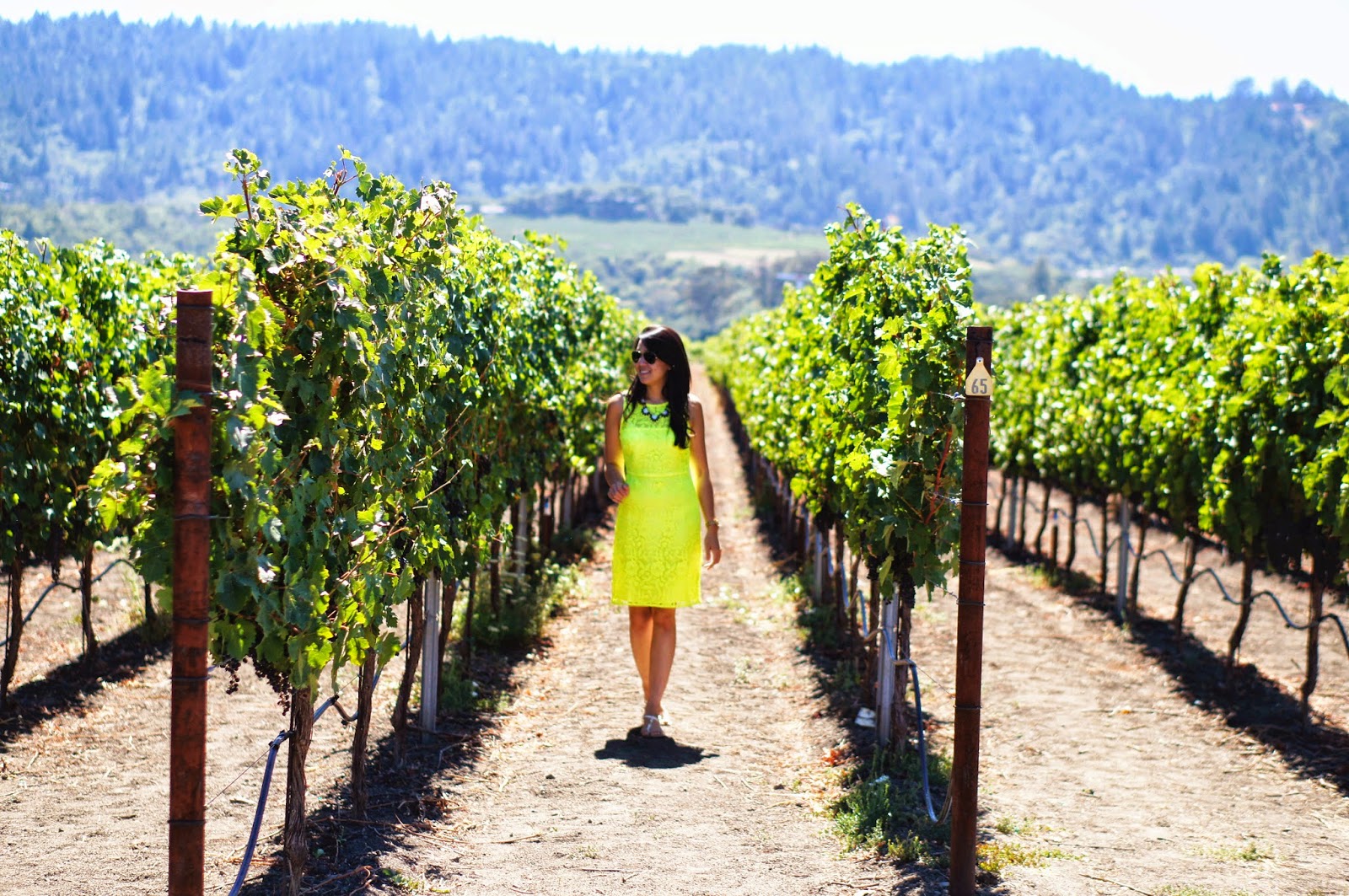 Year In Pictures, Life In Color: 2014 - Closet de Jules