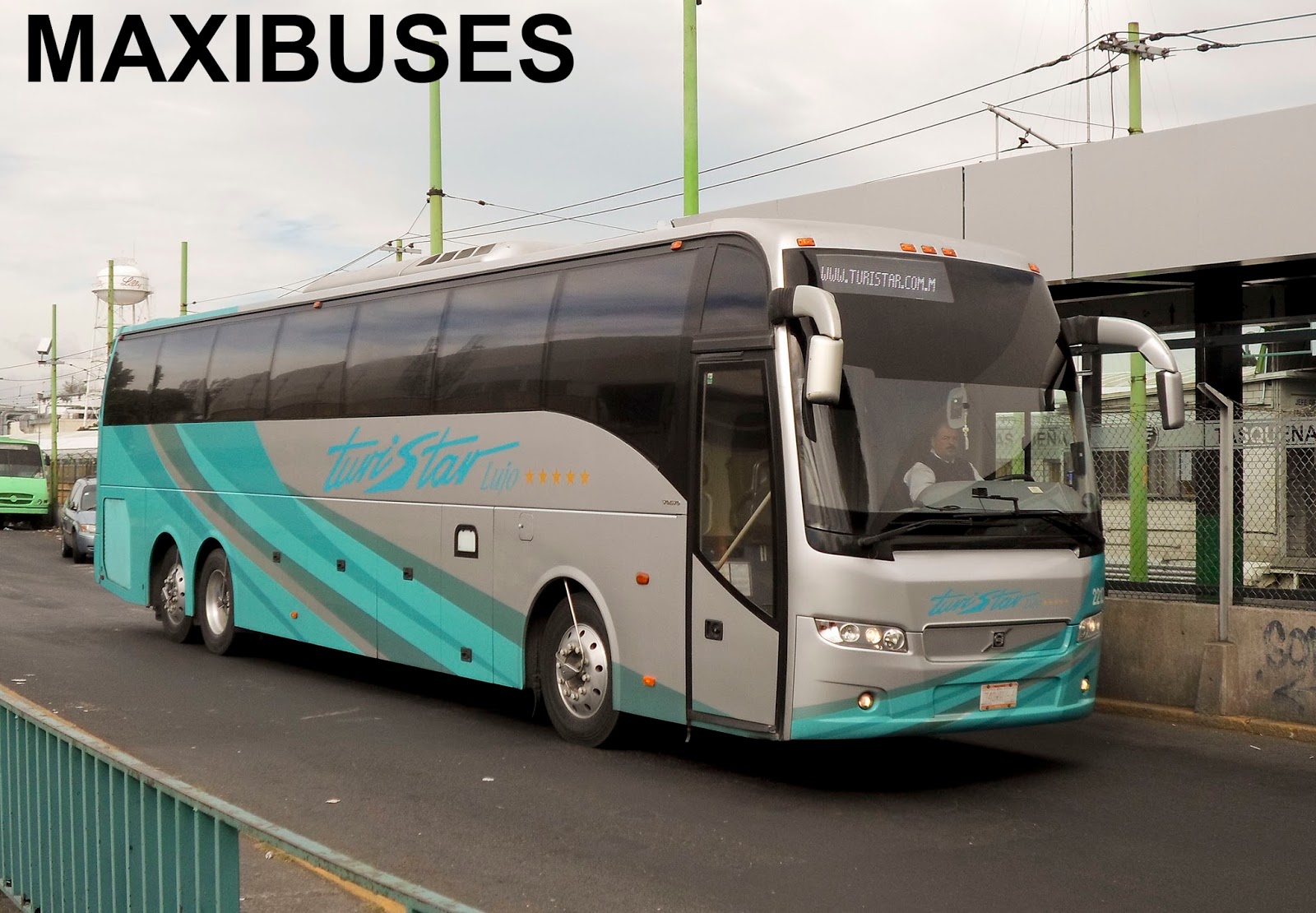 MAXIBUSES: TURISTAR LUJO