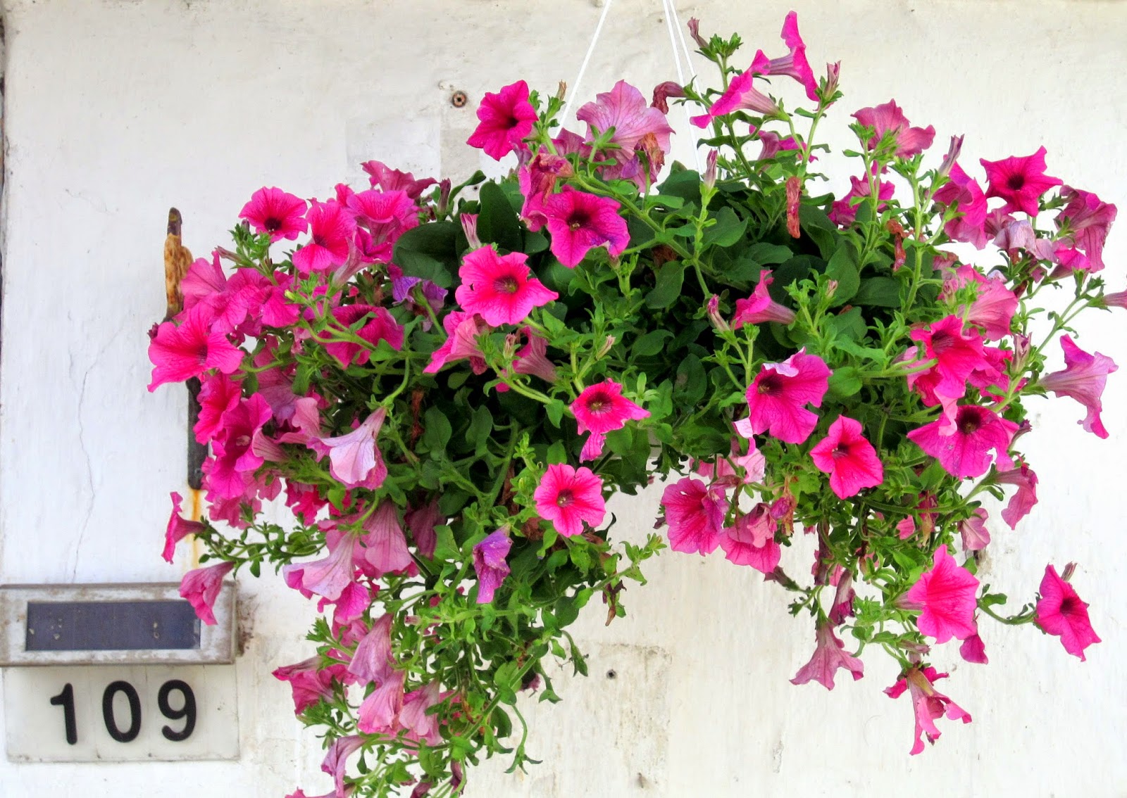 Landbohaven: 3 ampler