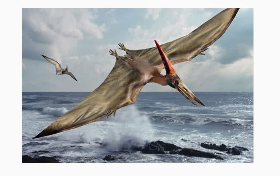 PAX JURASSICO: Pterodactilo