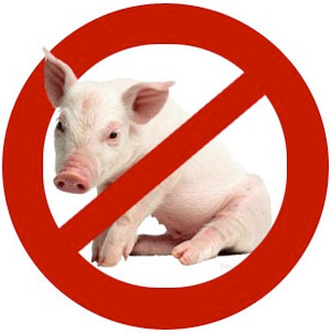 Social Justice: Kosher