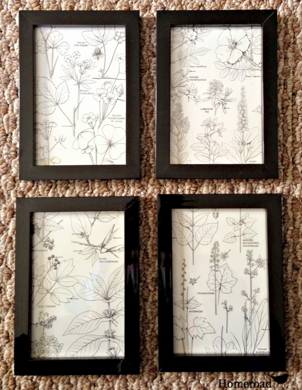 Framed Book Page Art