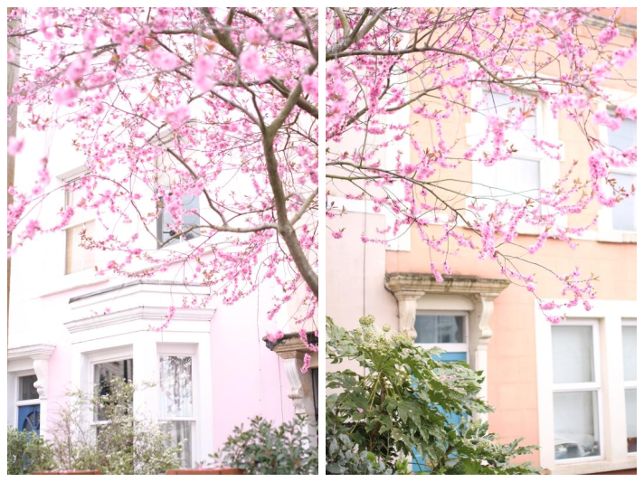 GREY LEMON: March 2014