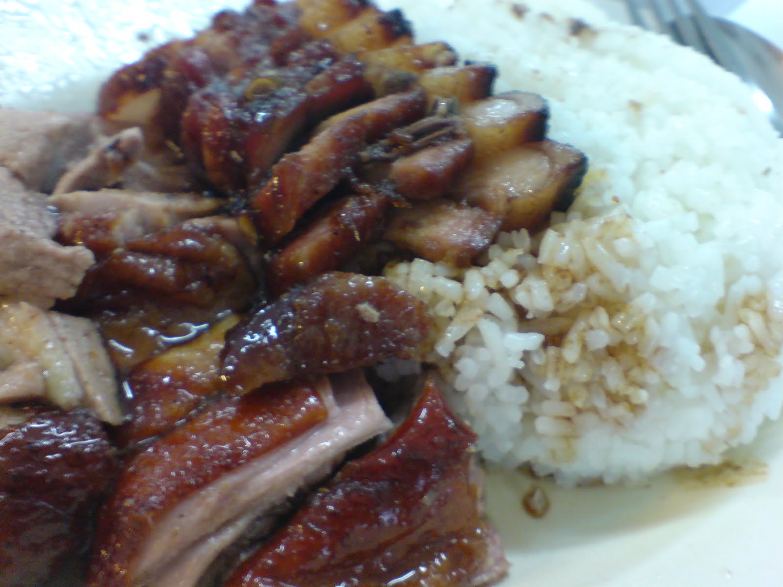 House of Life: The Best Roast Duck Rice in Skudai...