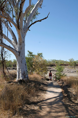 Can Go Around Australia: Einasleigh and Copperfield Gorge