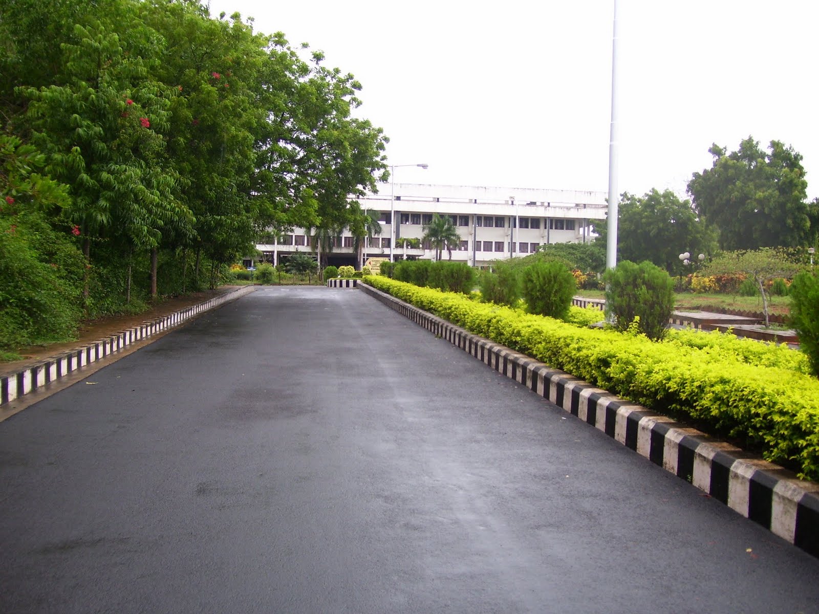 SCRIBBLES: PONDICHERRY ENGINEERING COLLEGE - A PARADISE LOST