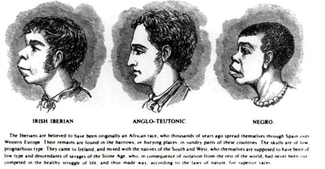 MUHAMMAD ALI BEN MARCUS: THE IRISH SLAVE TRADE - THE FORGOTTEN HISTORY ...