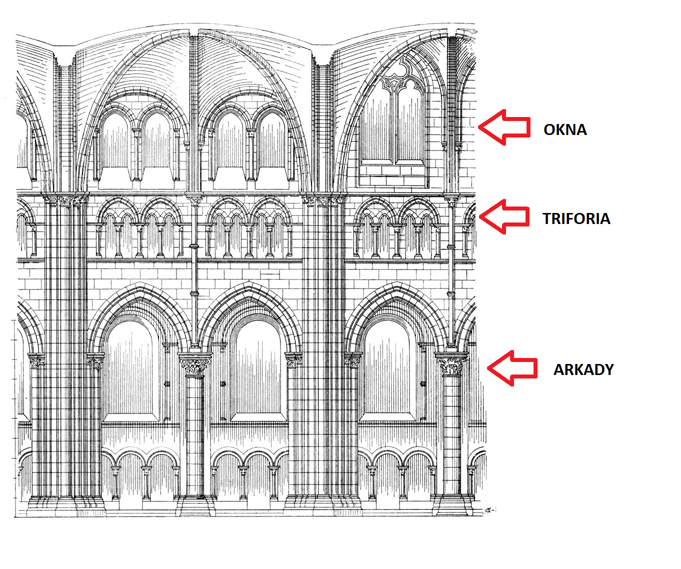 (Nie) Groźna architektura: Architektura gotycka we Francji