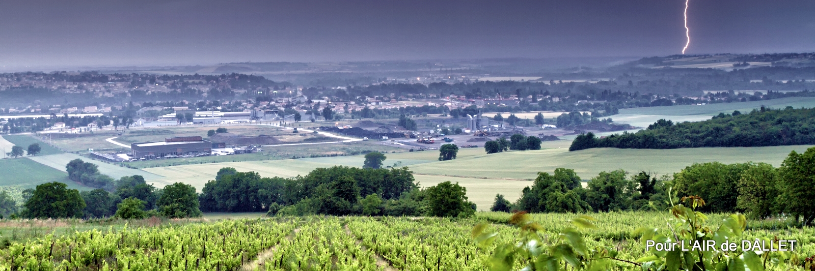 L'AIR de DALLET....: LE DALLET DU VIN par André FONTBONNE