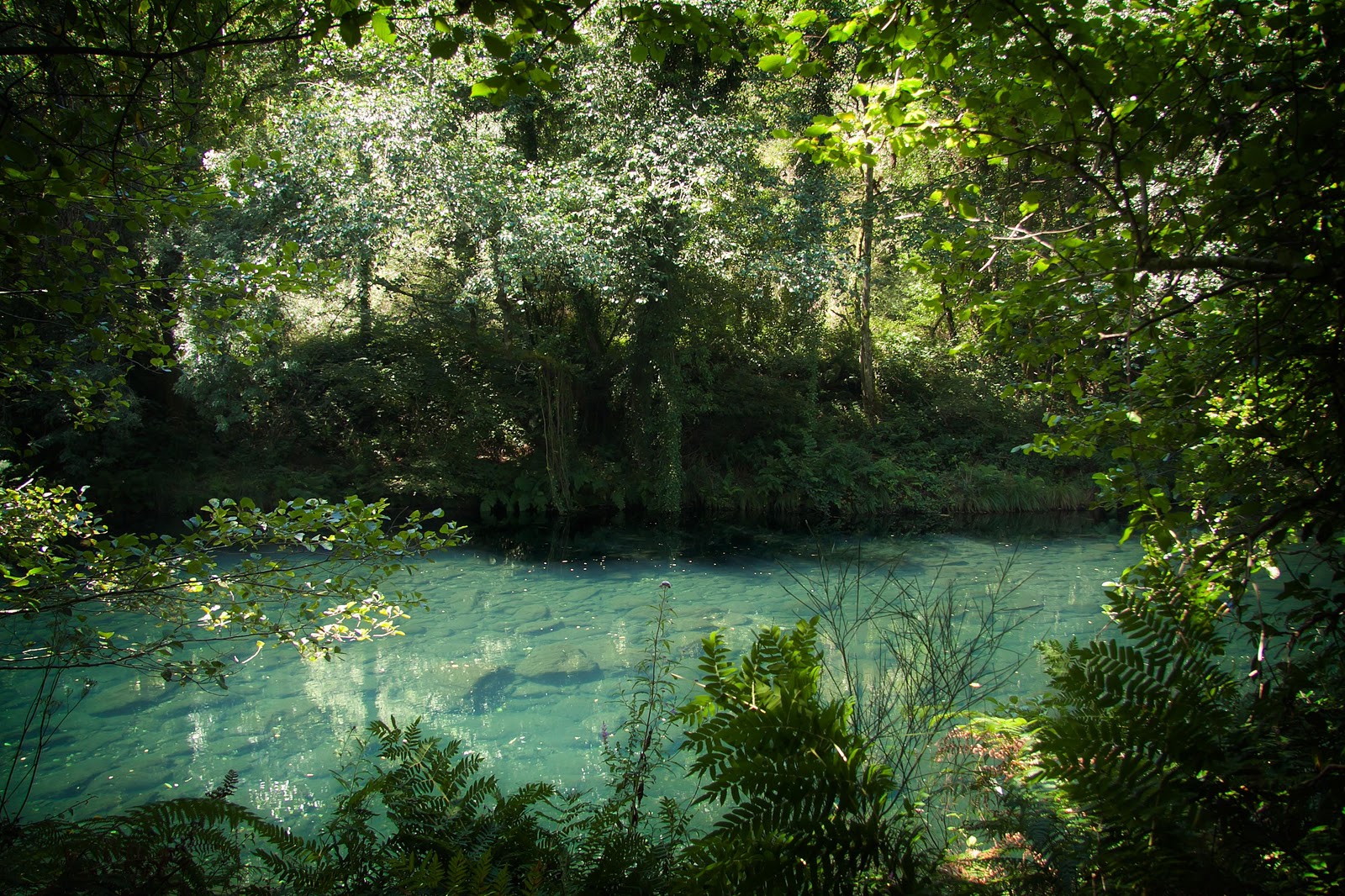 alex b.asencio blog : Fragas do Eume