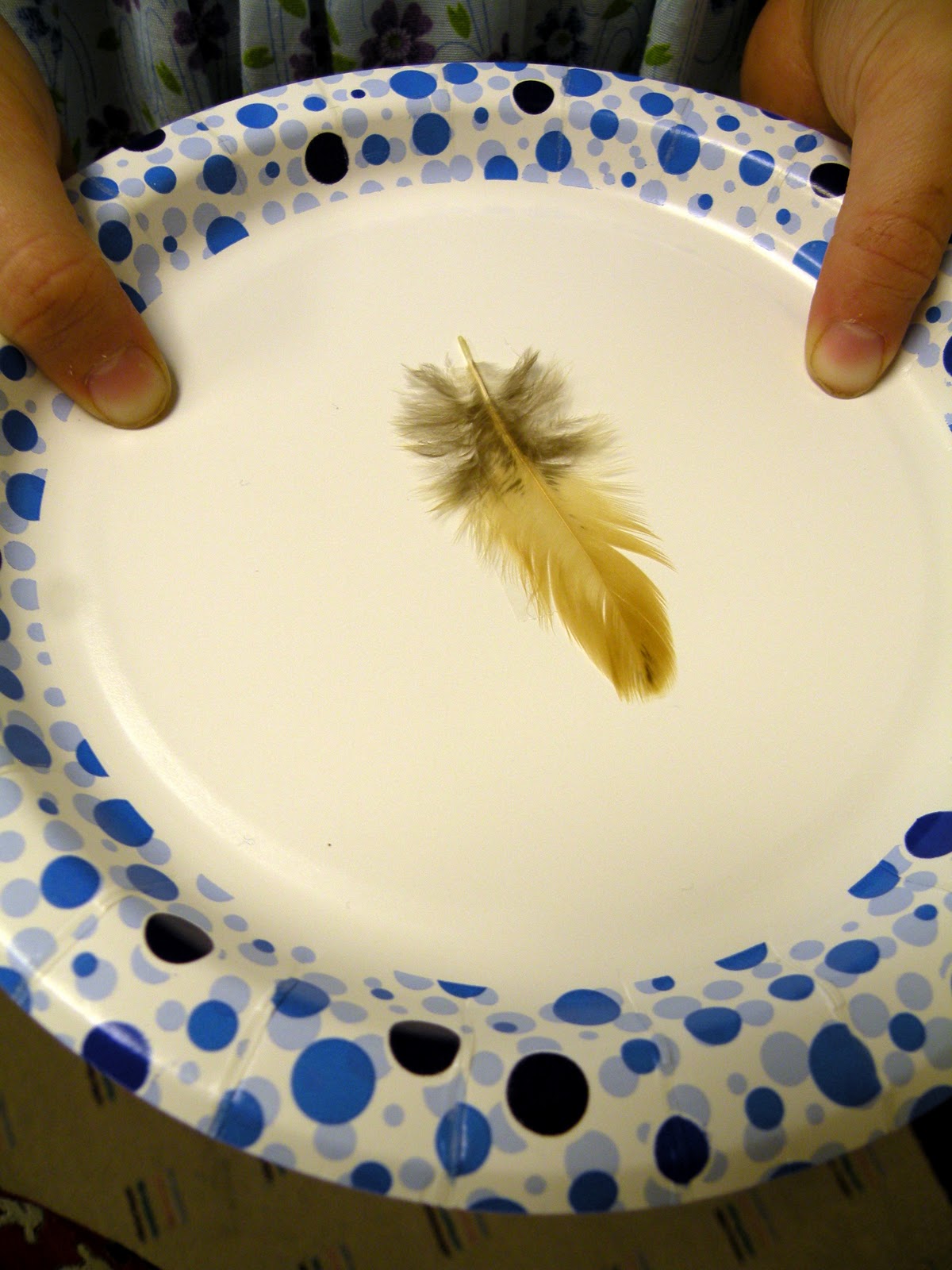 The Fantastic Five: Bible Alive! Tuesday: Believe and Follow Feather Relay