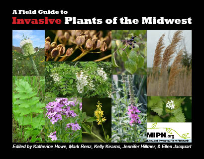 Illinois Invasive Species Awareness Month: Guest Article - About the ...