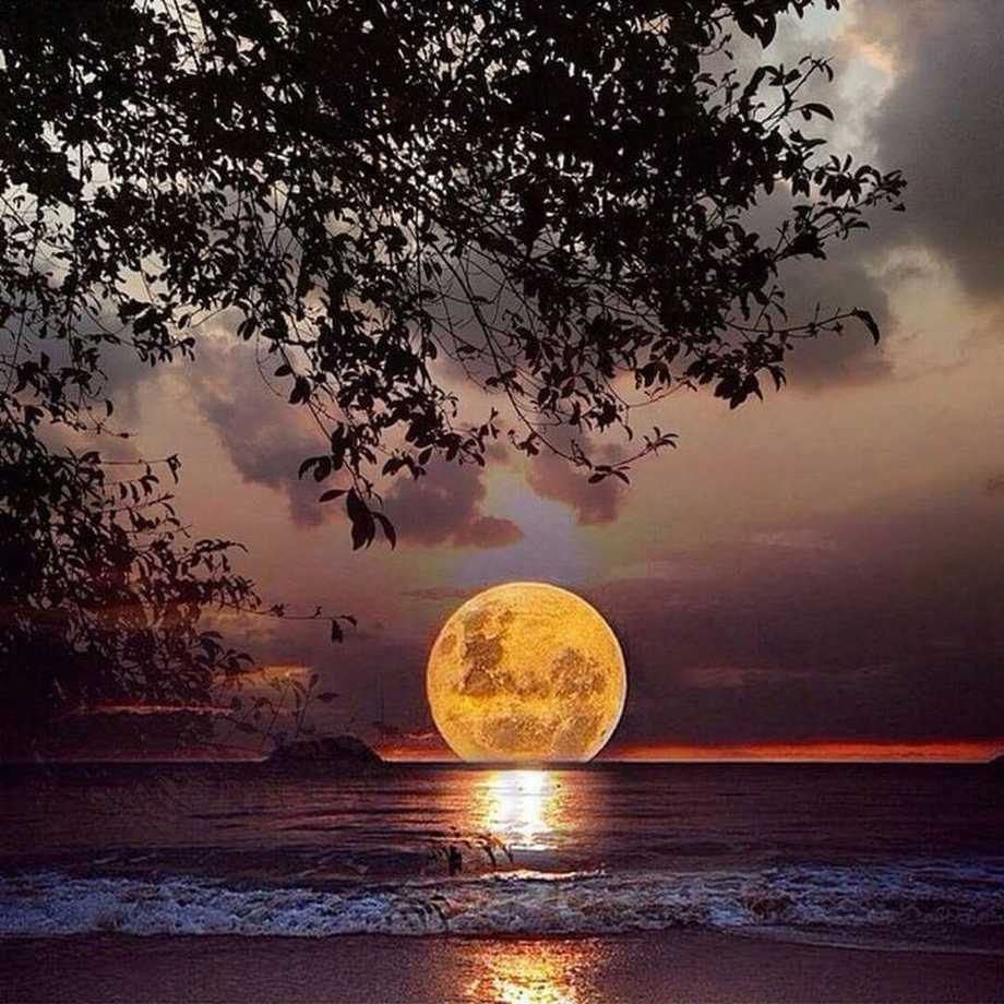 Las Fotos Mas Alucinantes: fotos de la luna