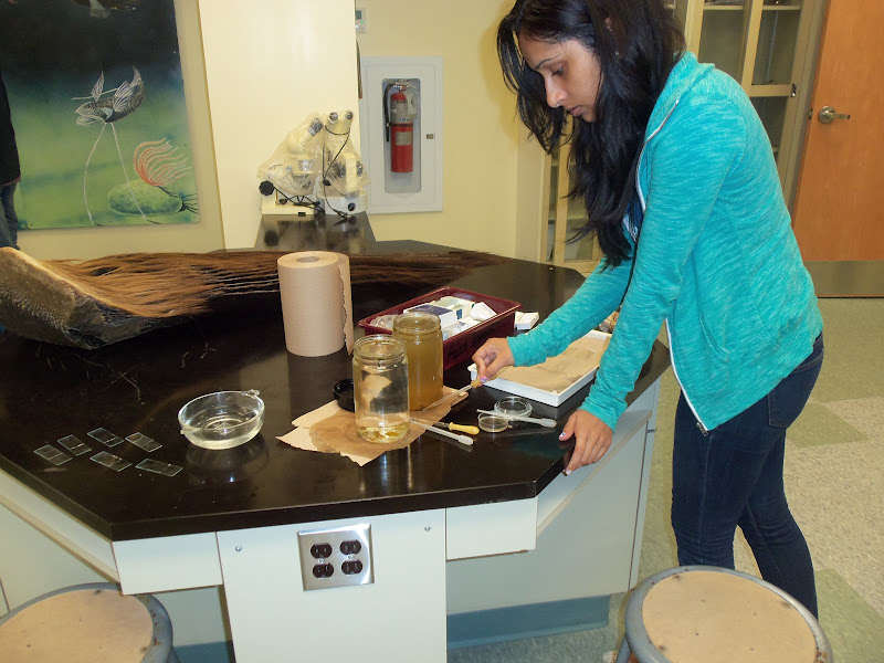 Huntsman Marine Science Centre: Turner Fenton Secondary School – Day 1