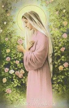 Flores de Maria: Modéstia Cristã: “Vesti com modéstia e com muito pudor ...