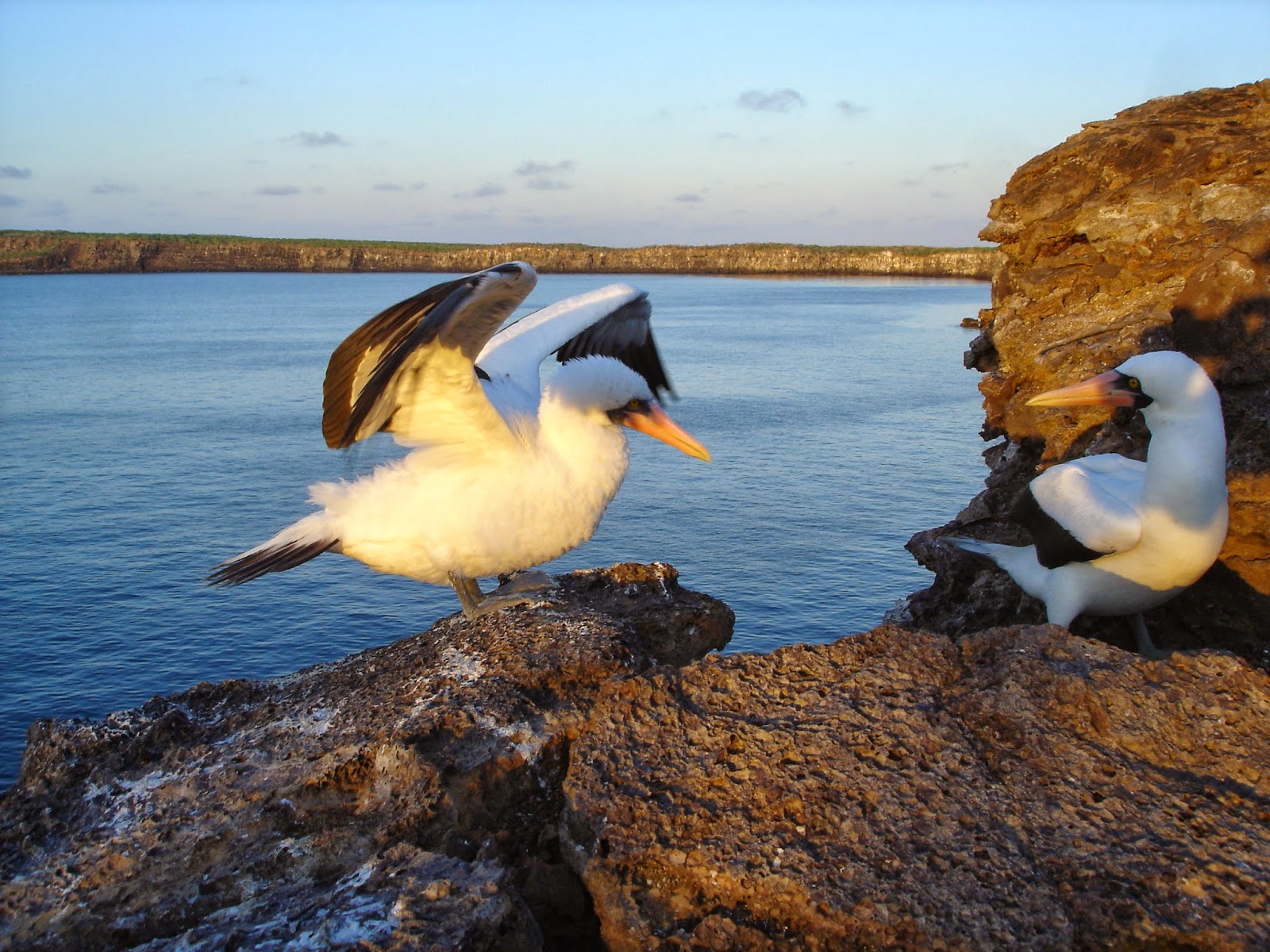 The Expedition Department