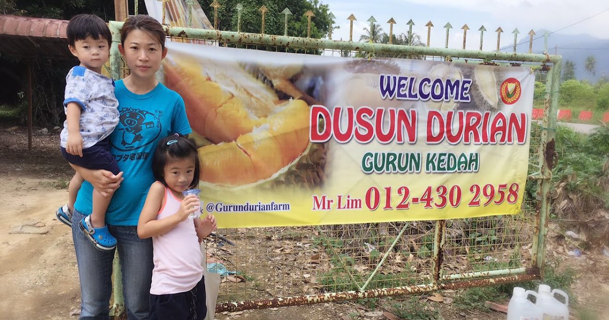 Dusun Durian at Gurun Kedah | I am Stay At Home Mum (SAHM)