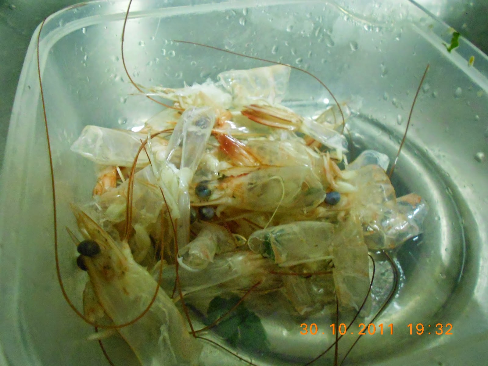 namakucella: PETUA ELAKKAN KULIT UDANG BUSUK...!!!