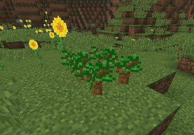 Mini Tutorial Minecraft : Cómo plantar Roble Oscuro