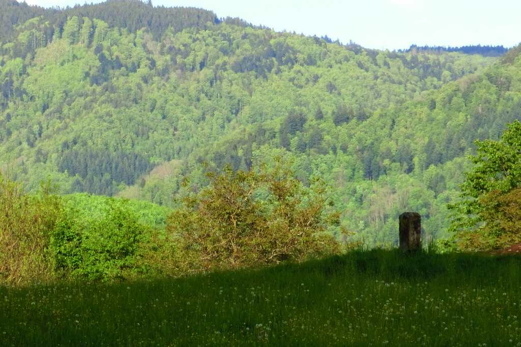 Markstein: Markstein = Grenzstein